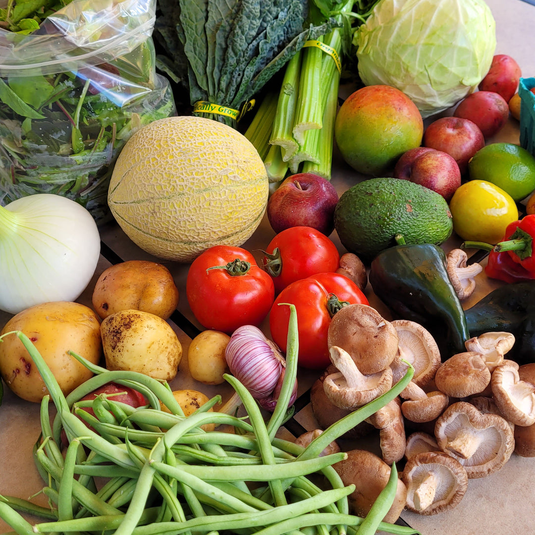 MycoLogical Natural Products