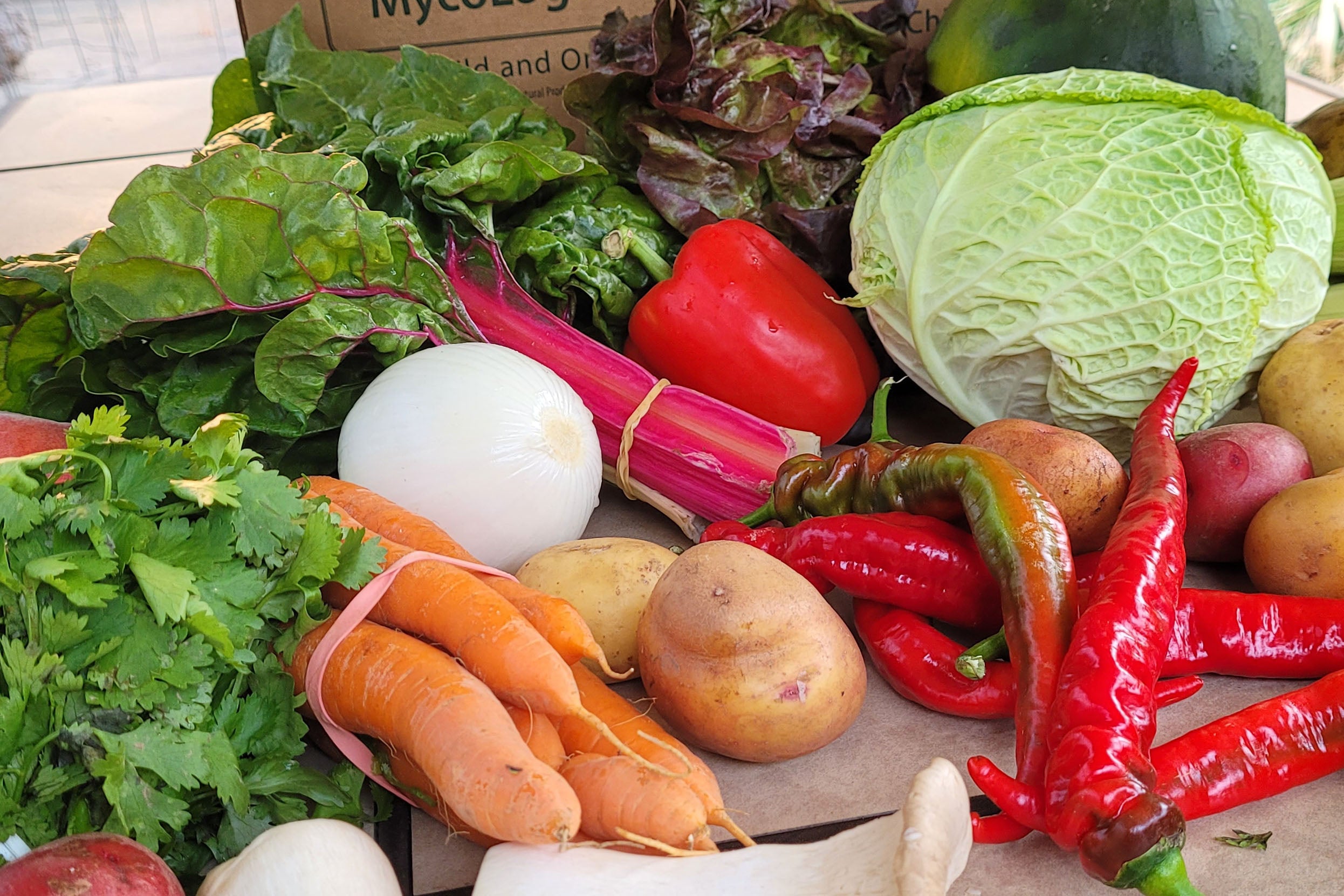 All Vegetable Box with Optional Wild Morel Mushrooms – MycoLogical